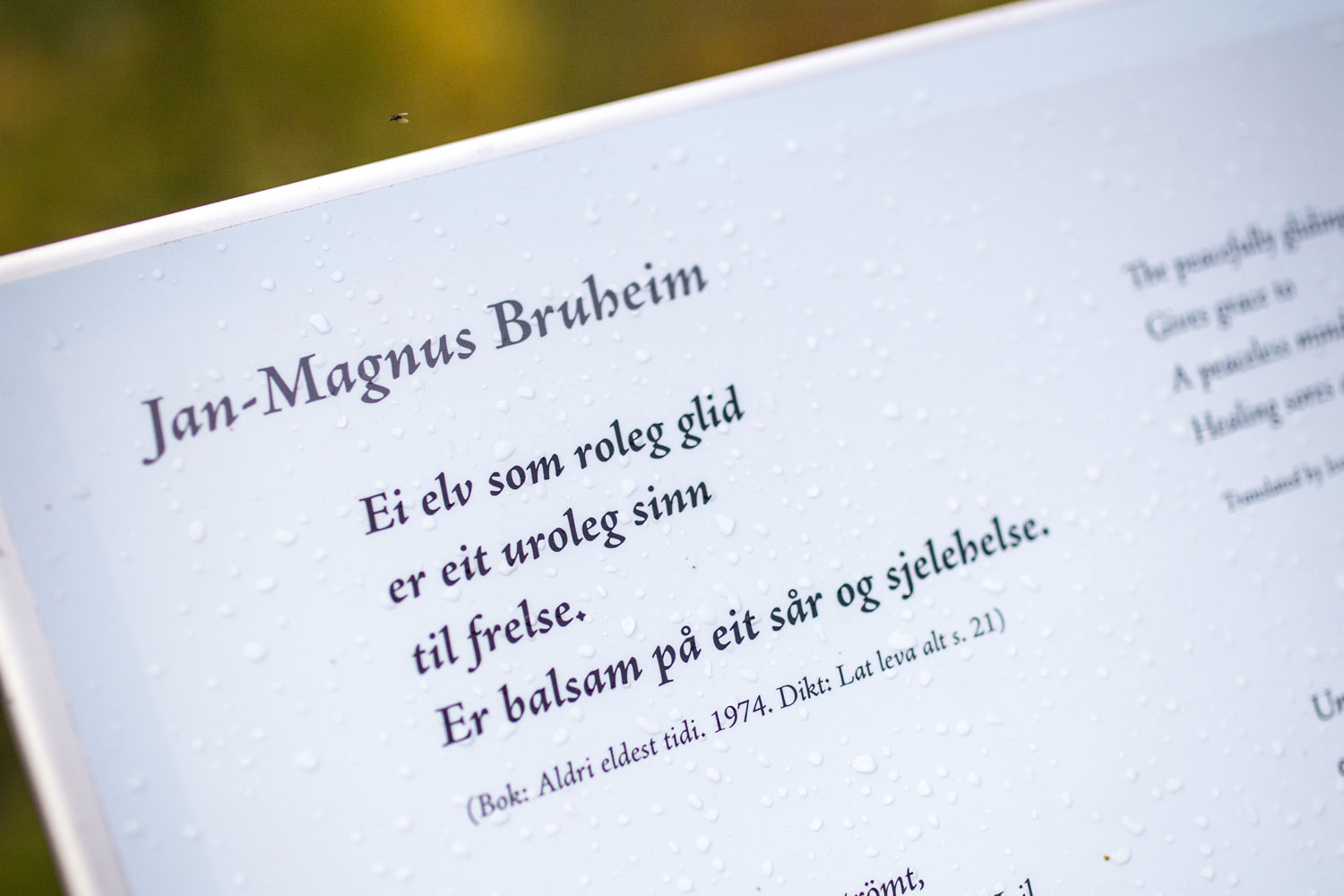 Diktarstigen - Billingen Seterpensjonat